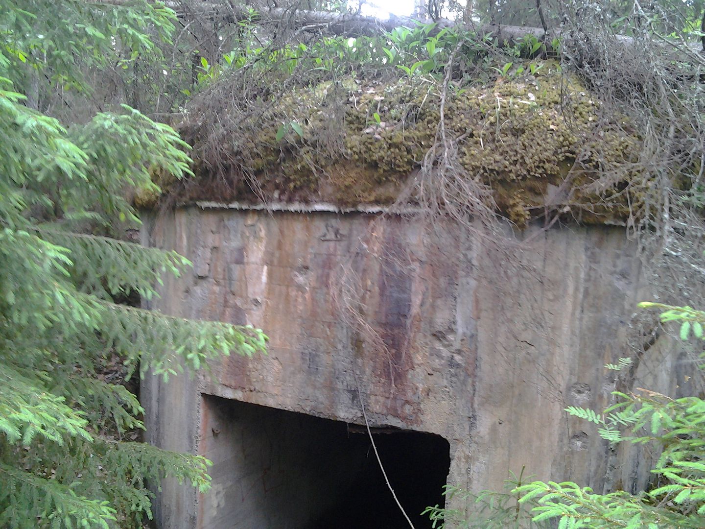 My 3-Day Finnish Bunker-Trench Complex Exploring Trip w/Pics > General ...