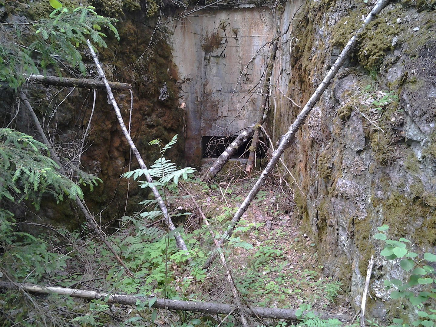 My 3-Day Finnish Bunker-Trench Complex Exploring Trip w/Pics > General ...
